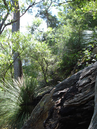 Billen Cliffs Village